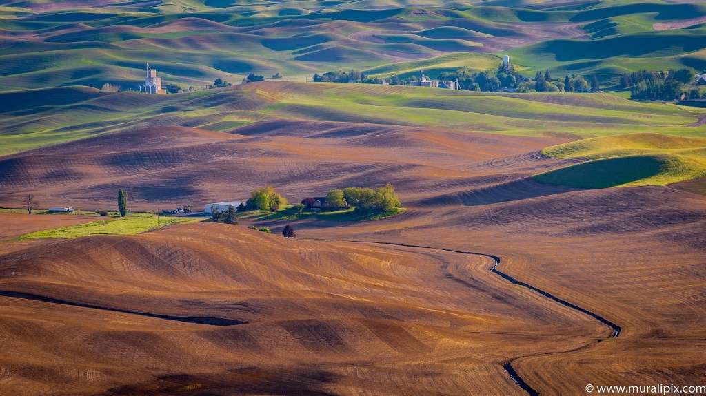 2019 Late Spring in The Palouse – Murali Narayanan Photography