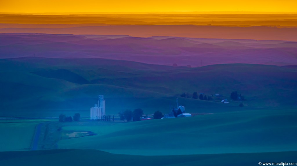 2019 Late Spring in The Palouse – Murali Narayanan Photography