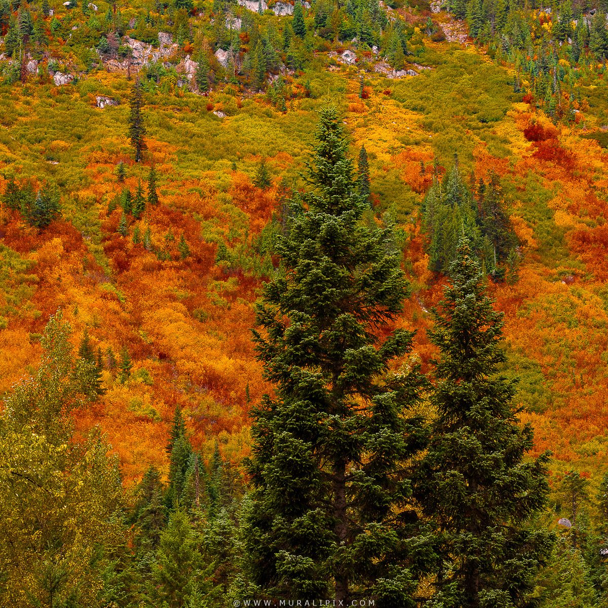 Top Spots for Autumn Photography in Washington State – Murali Narayanan ...